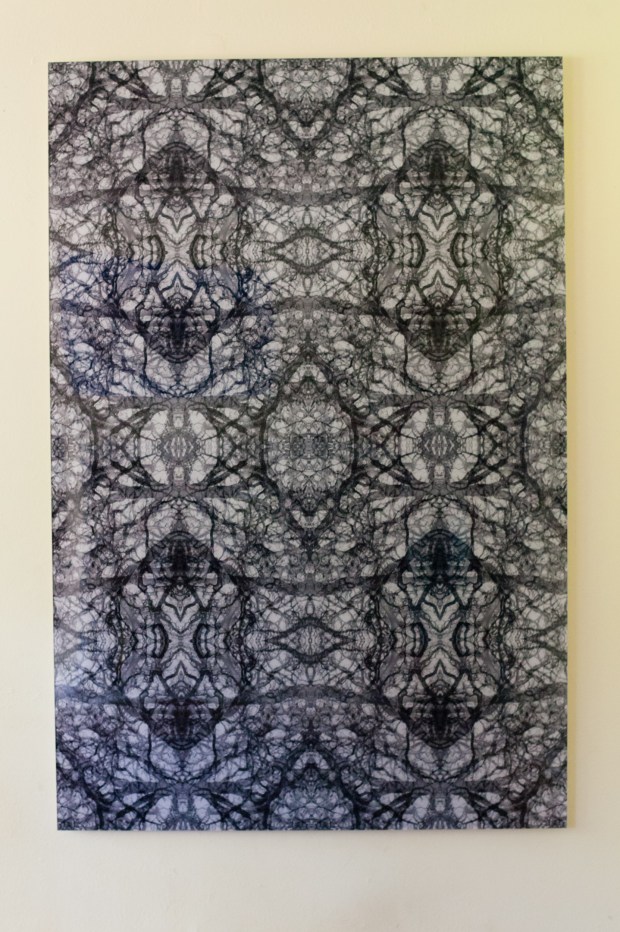 Artist Charles Heppner on the Patterson Burr Oaks – Friends of ...