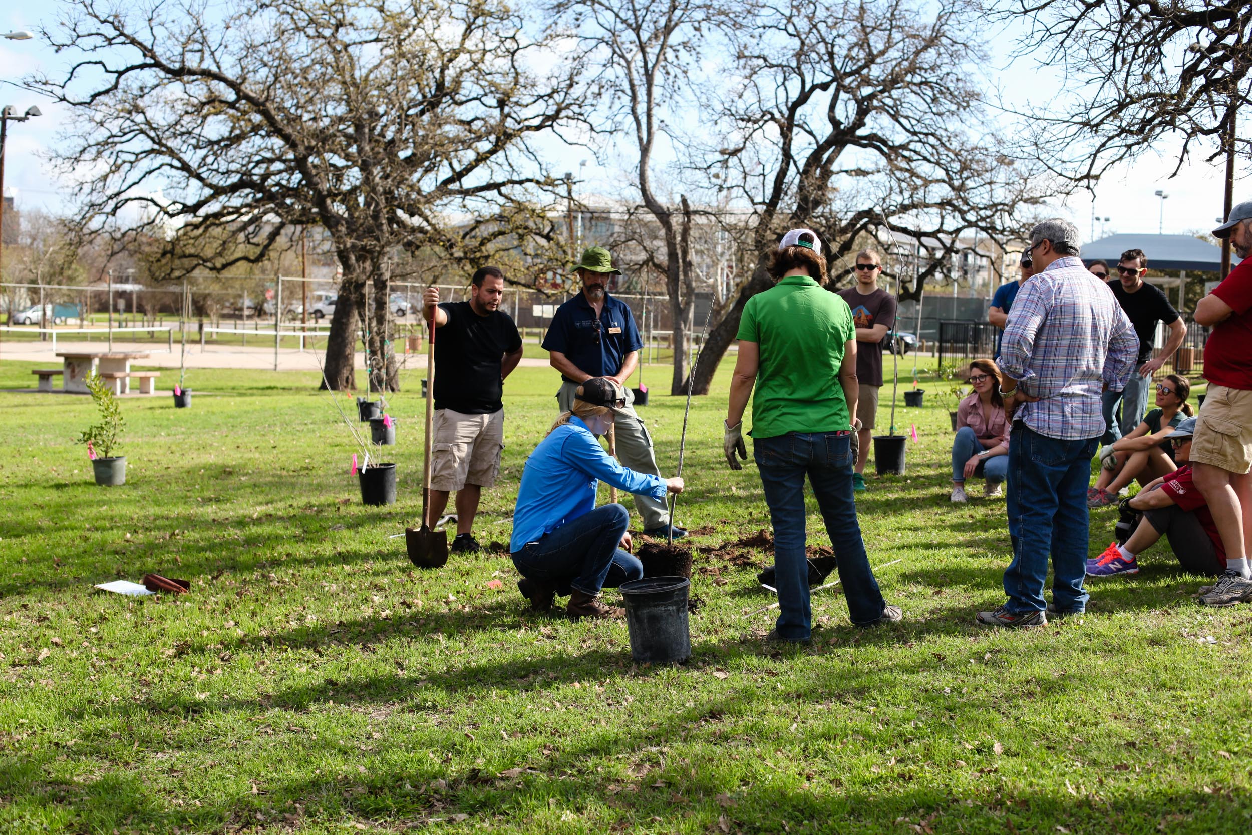 New Grove of Trees Planted at Patterson Park – Friends of Patterson Park