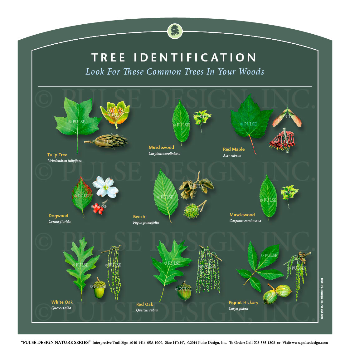 Pulse-Design-Nature-Sign-040-1414-1000 – Friends of Patterson Park